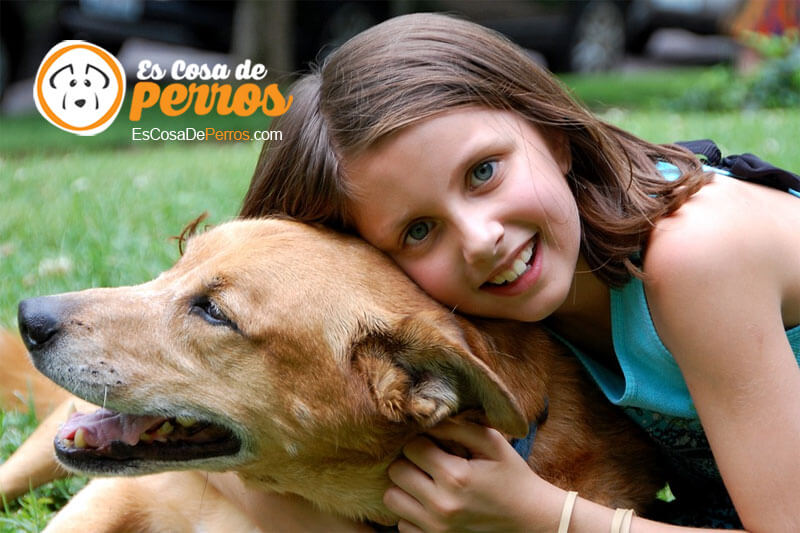 Niños y perros, enséñales a ser los compañeros de juego ideales - Es ...